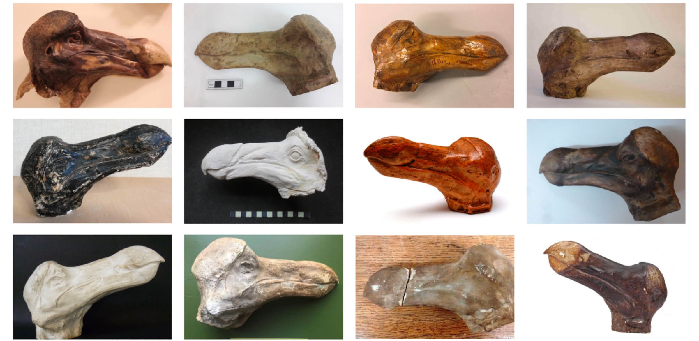 Fabricating the Dodo: the Making and Unmaking of a Bird